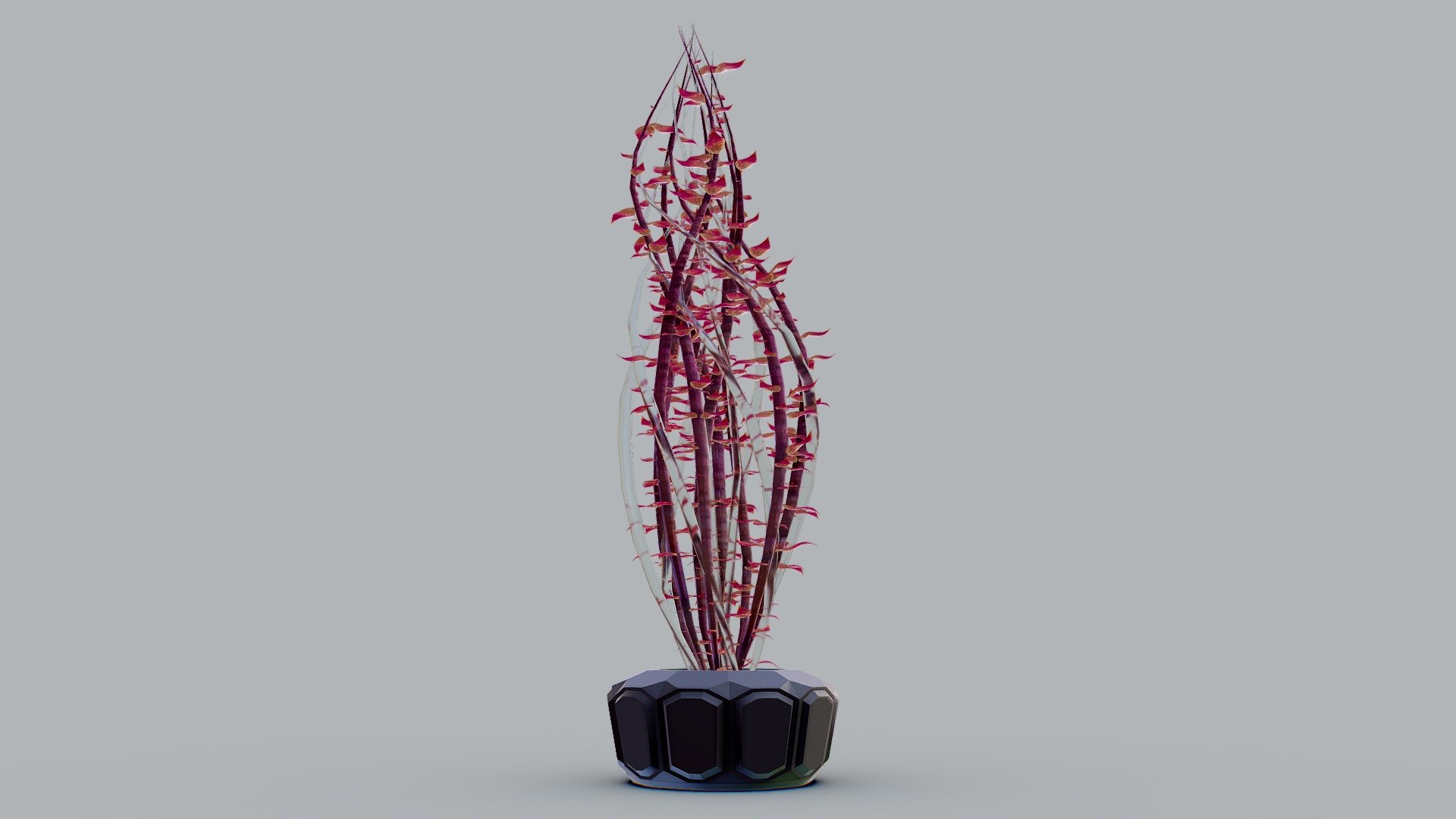 Plant Alien / Sci-Fi - Buy Royalty Free 3D model by 3Dee (@mellydeeis ...