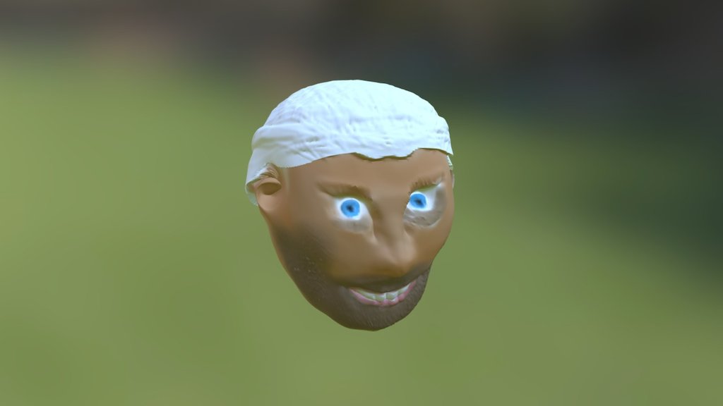 SculptGL face - 3D model by Guillaume Deniau (@guillaumedeniau ...