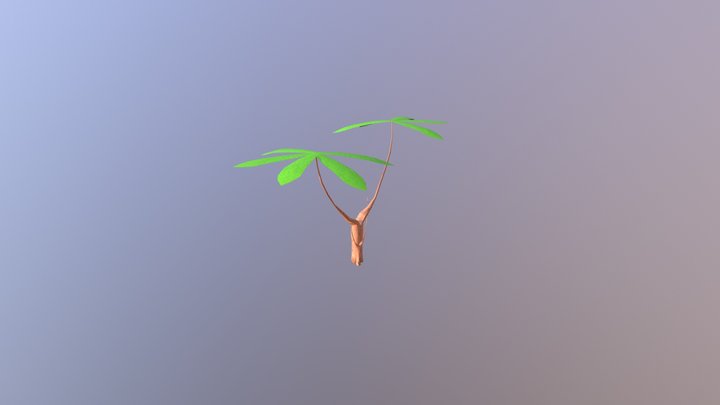 Cassava 3D models - Sketchfab
