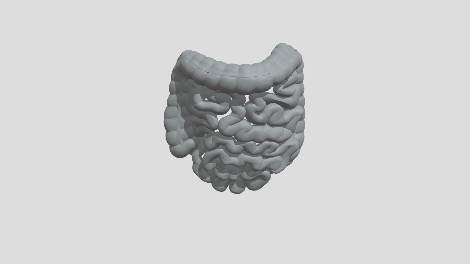 Lower GI - 3D model by ucabmg3 [44c1c66] - Sketchfab
