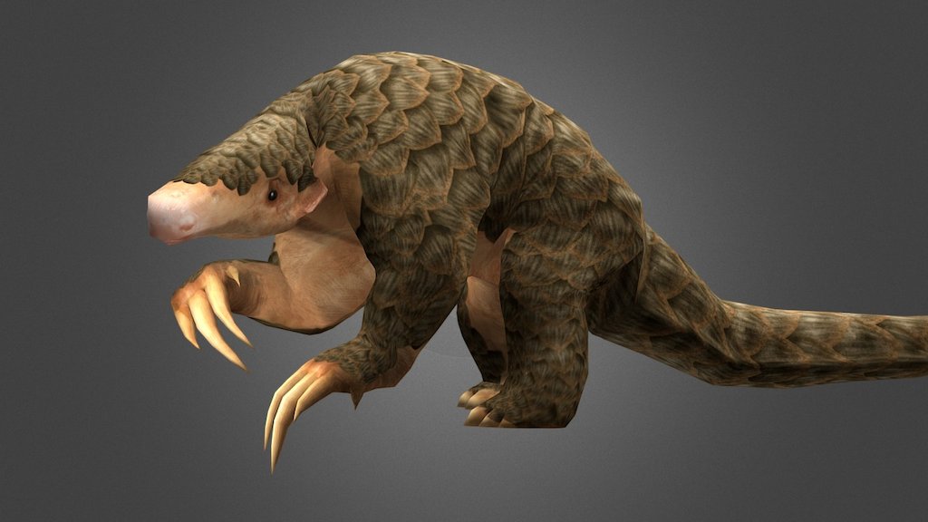 Pangolin - 3D model by Arekay [44da039] - Sketchfab
