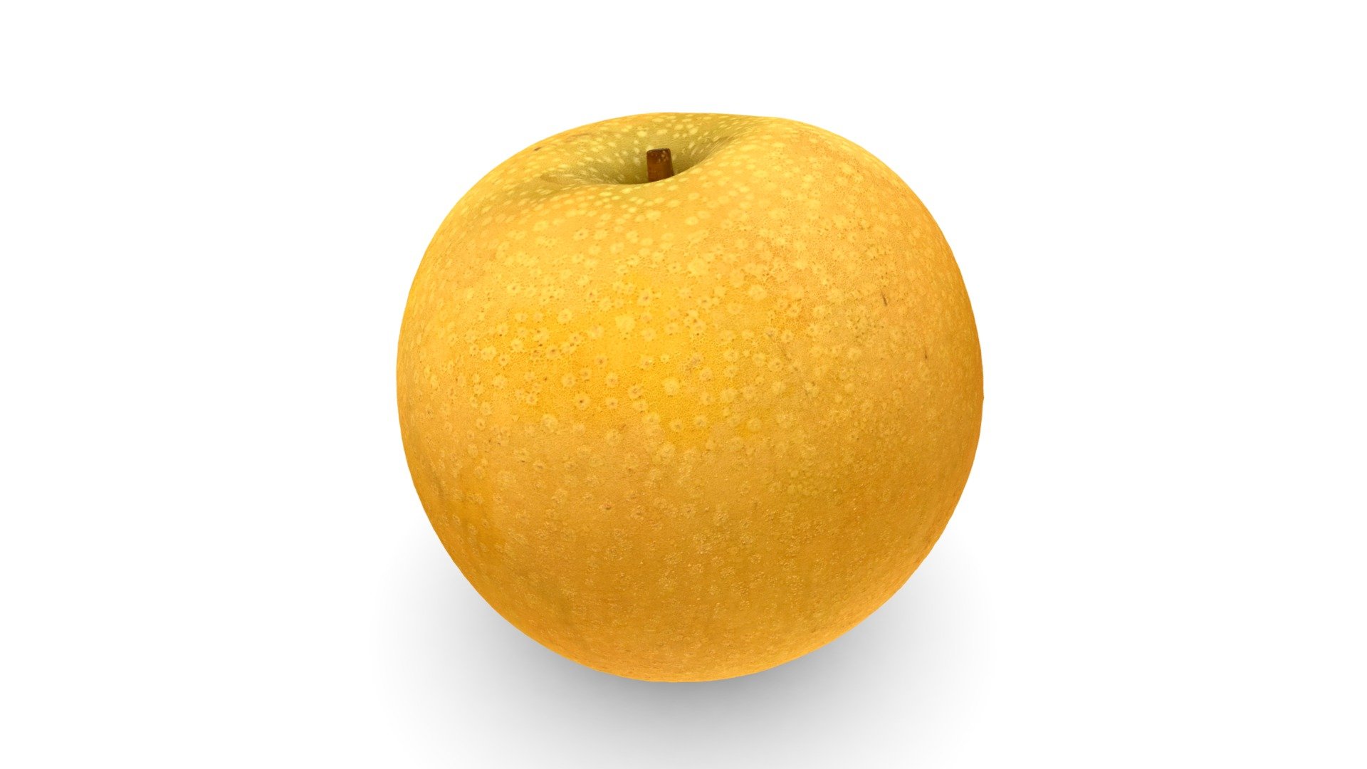 Akizuki Pear 秋月梨 Photogrammetry - 3D model by Akiko_NAKAMURA (@Akiko ...