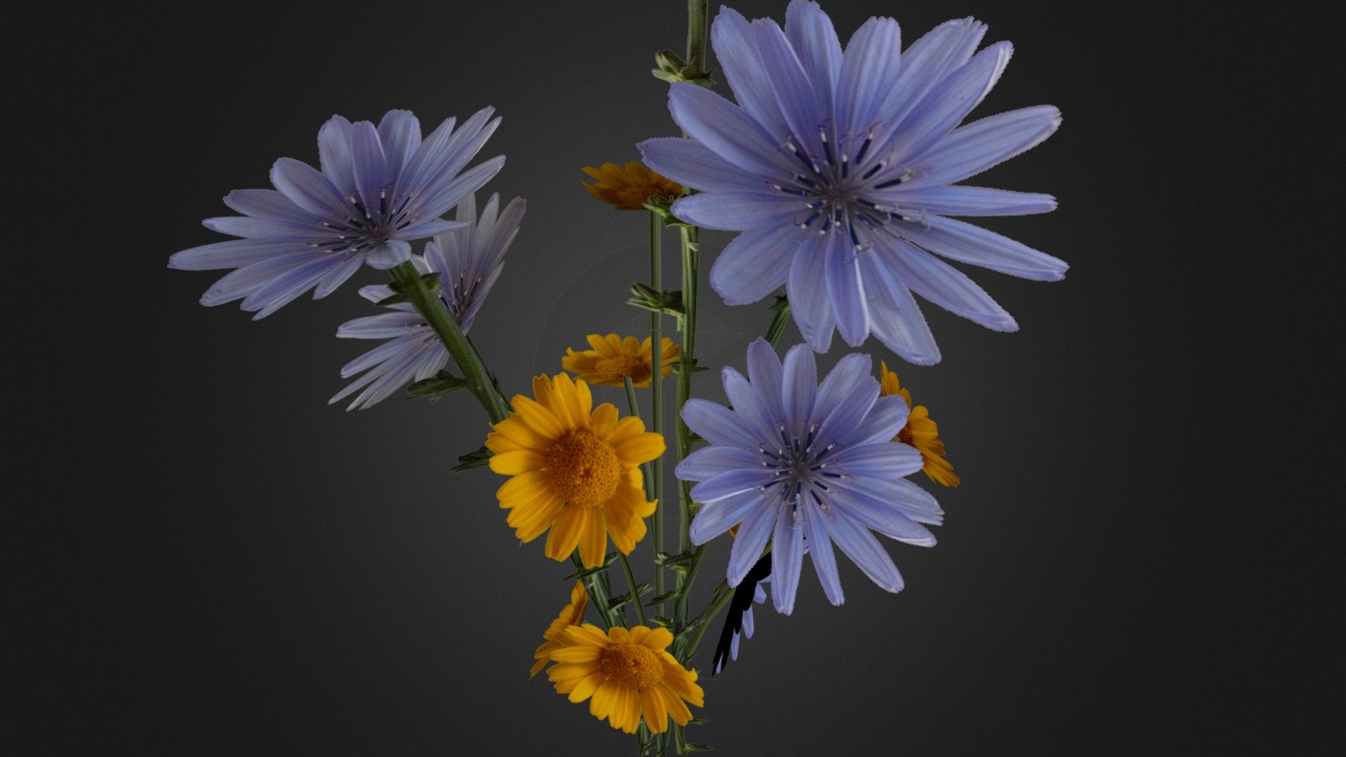 Prop_Flower - 3D model by DAE_howest (@daehowest) [44dde33] - Sketchfab