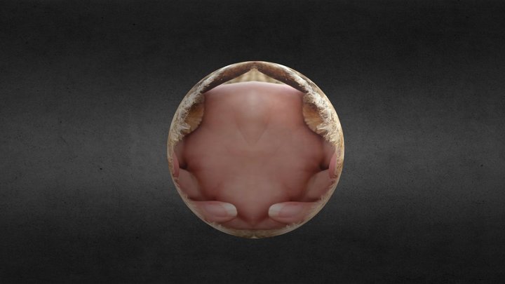 Openlab 3D models - Sketchfab