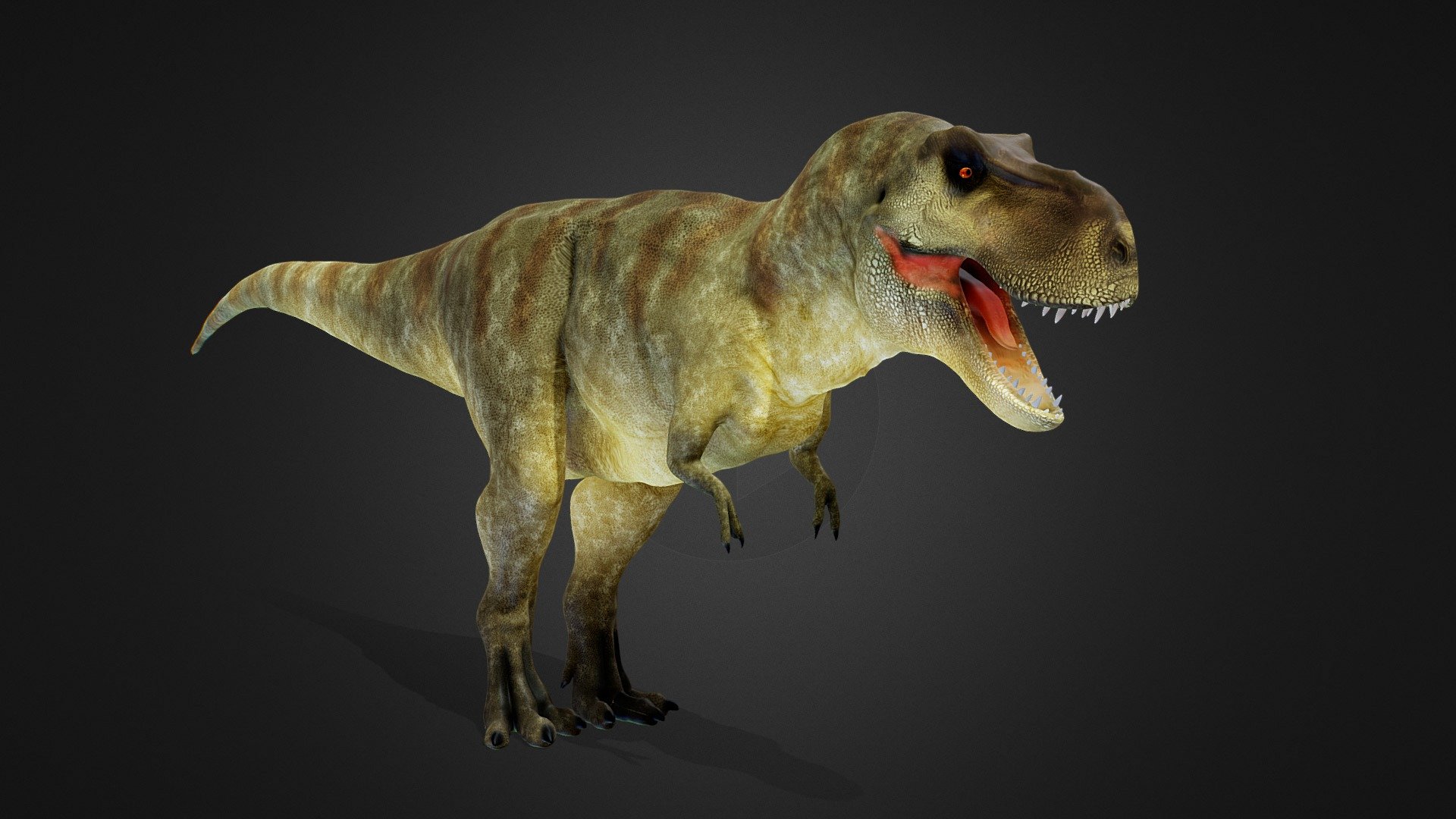 Tyrannosaurus rex (scientifically inaccurate) - Buy Royalty Free 3D ...