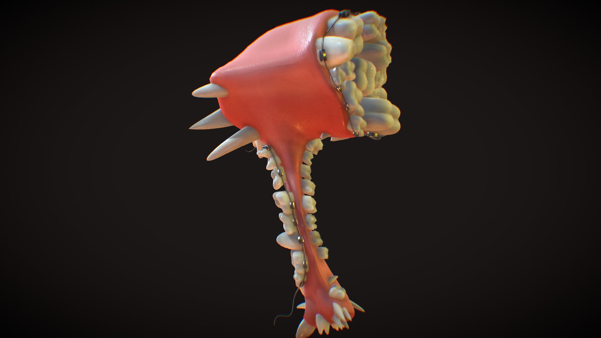 Tooth-crush - Download Free 3D model by Duznot (@duz_vr) [44ea5da ...