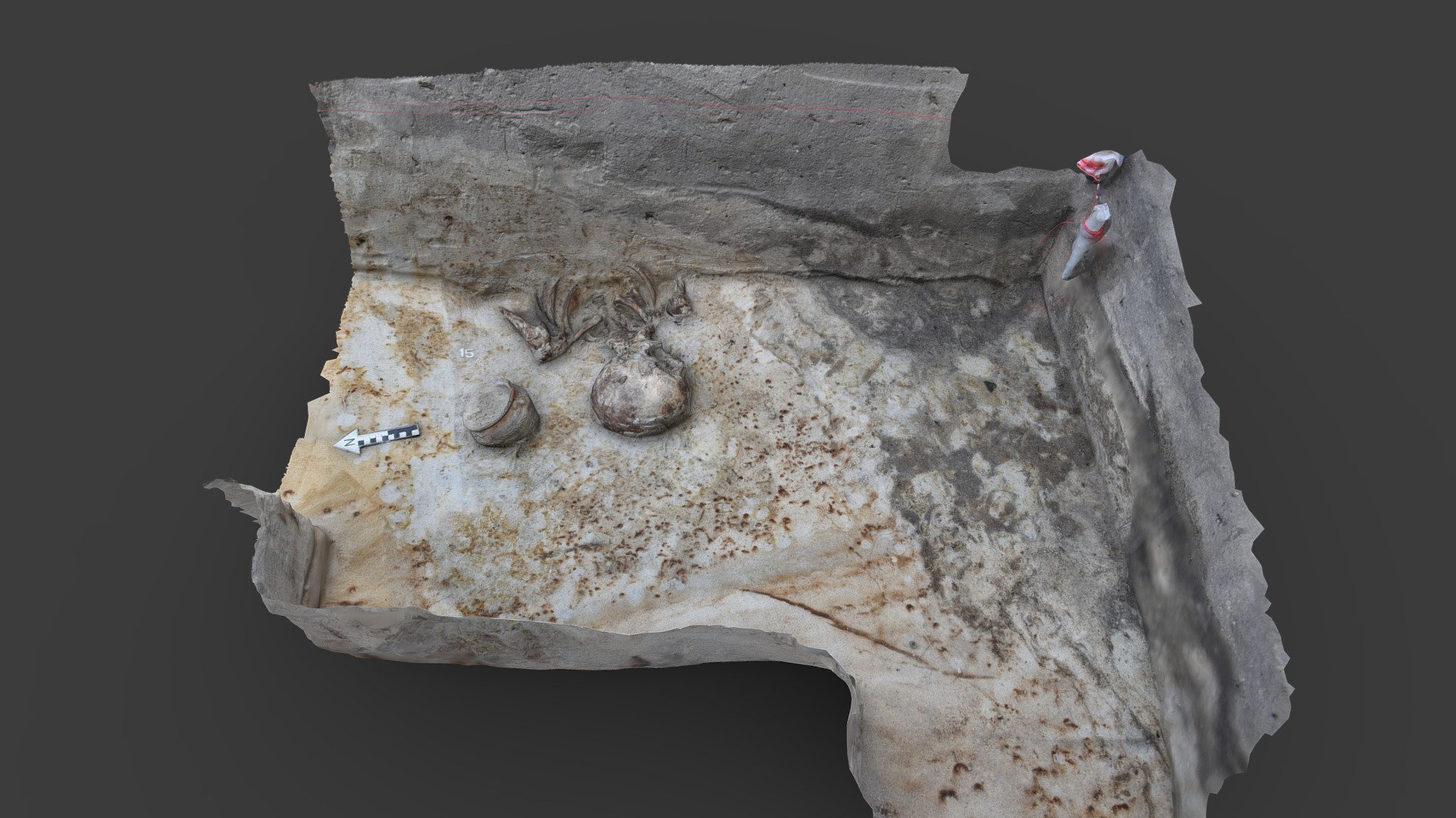2023 BRB BEF 15 Grab Weiblich senil - 3D model by praehist3d [44f0dd0 ...