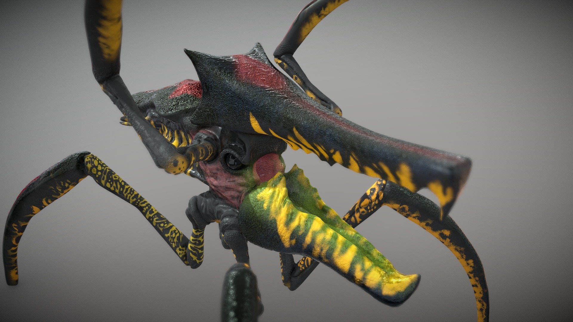zbug practice - 3D model by Nscaglia (@evil13n) [44fb56e] - Sketchfab