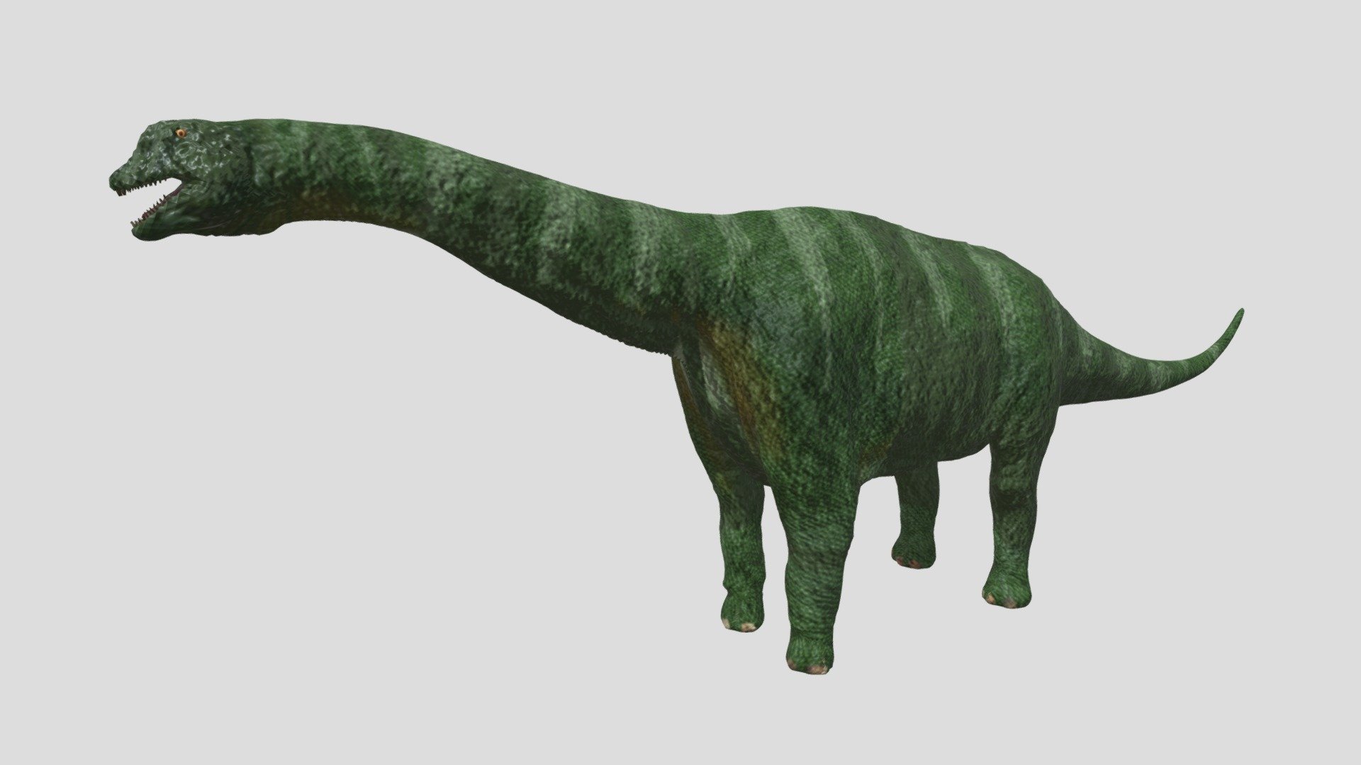 Apatosaurus - Diplodocus - Buy Royalty Free 3D model by 3dlowpoly ...