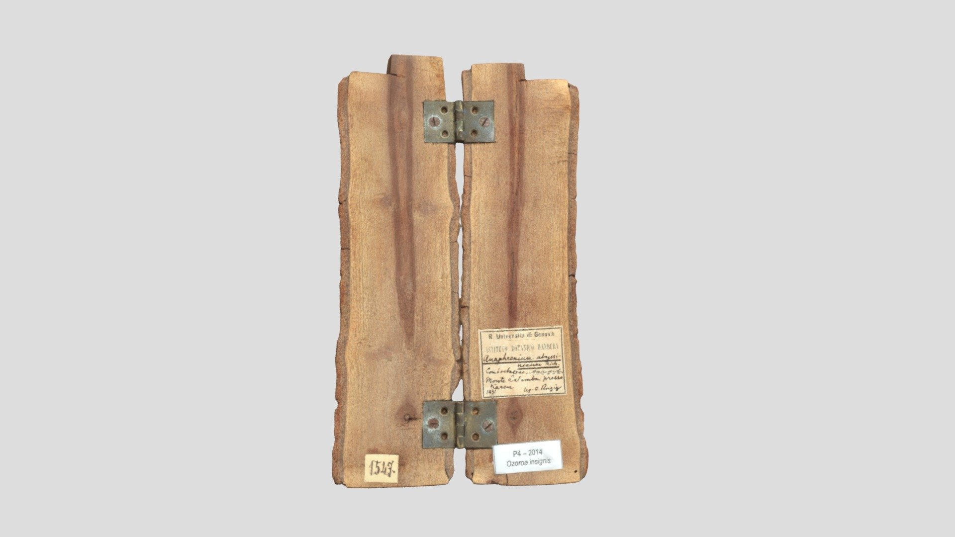 Wood Collection, Xylarium sample #1 - 3D model by SMA-UniGe [4507c21 ...