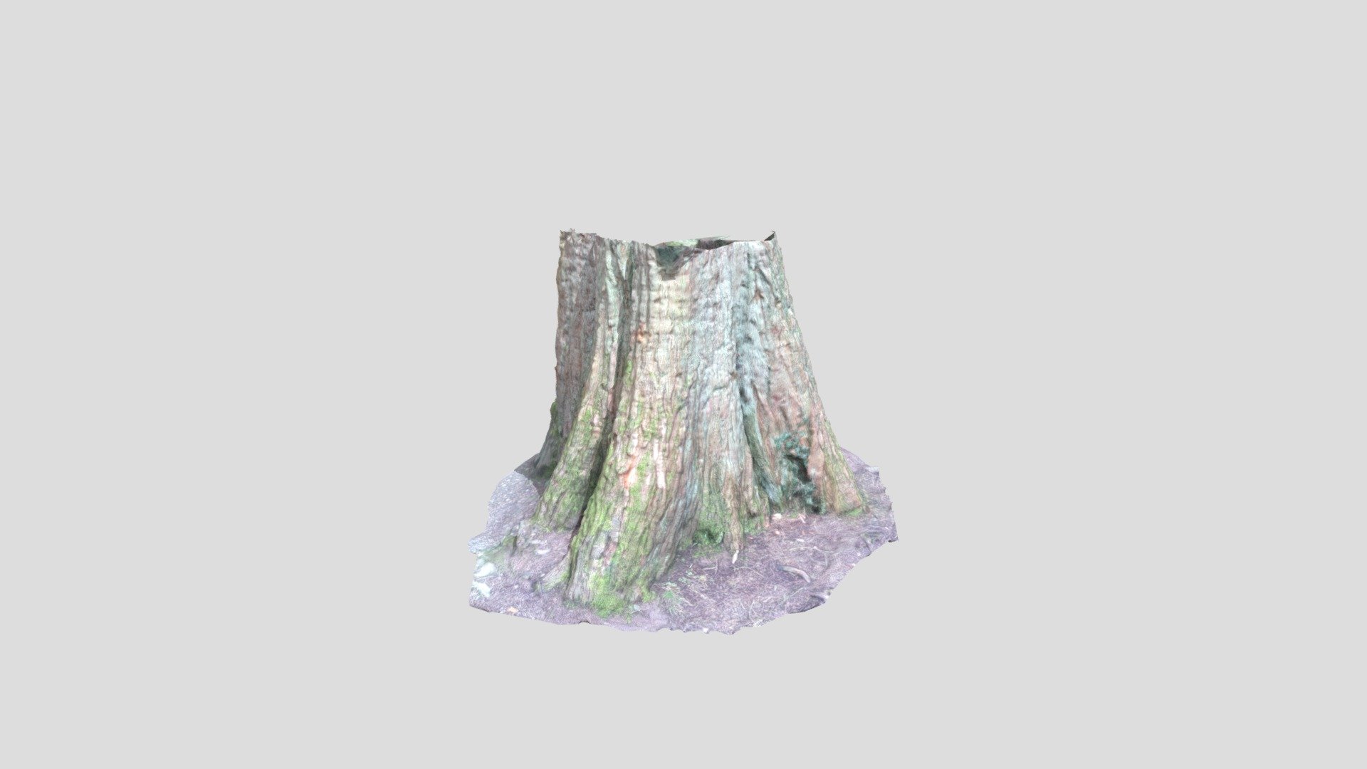 Tree base - Download Free 3D model by wpswps [450f43f] - Sketchfab