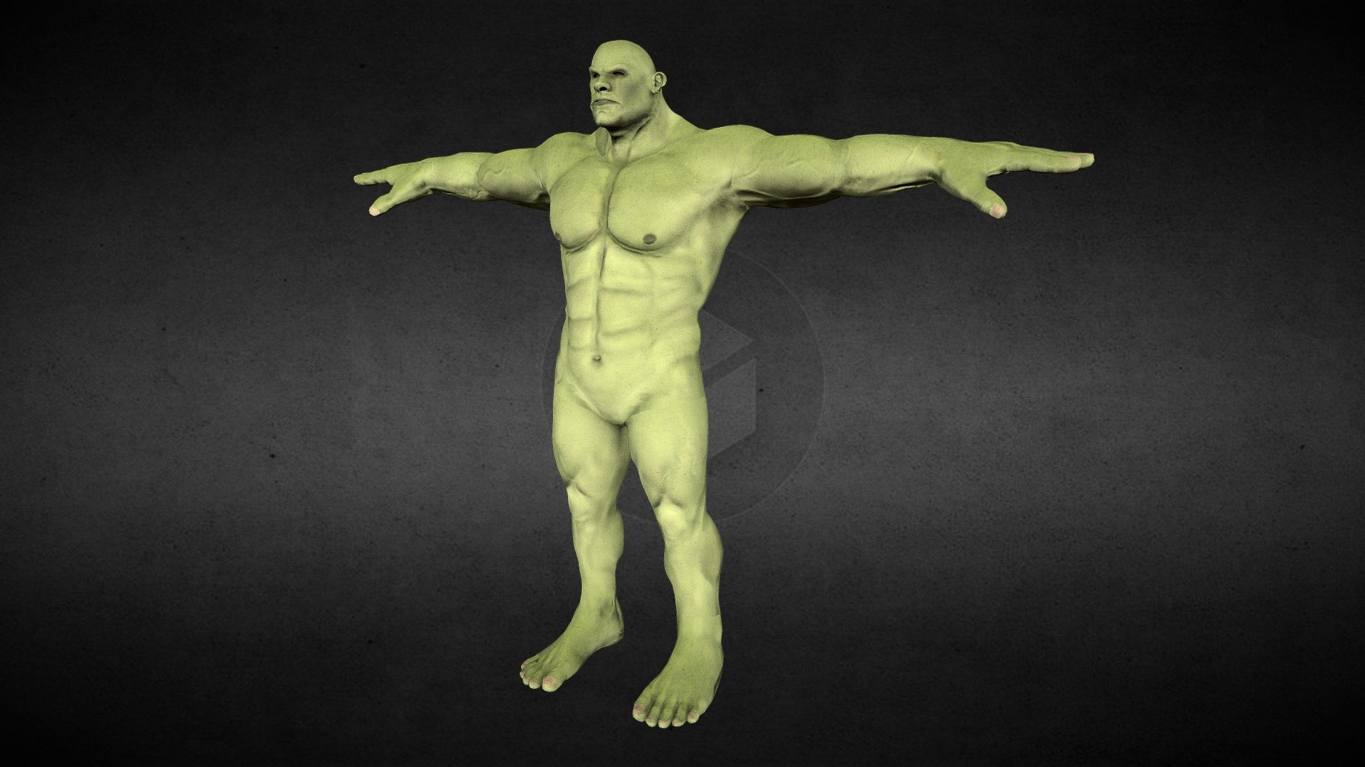 Brute Orc - Download Free 3D model by zct_33 [4512256] - Sketchfab