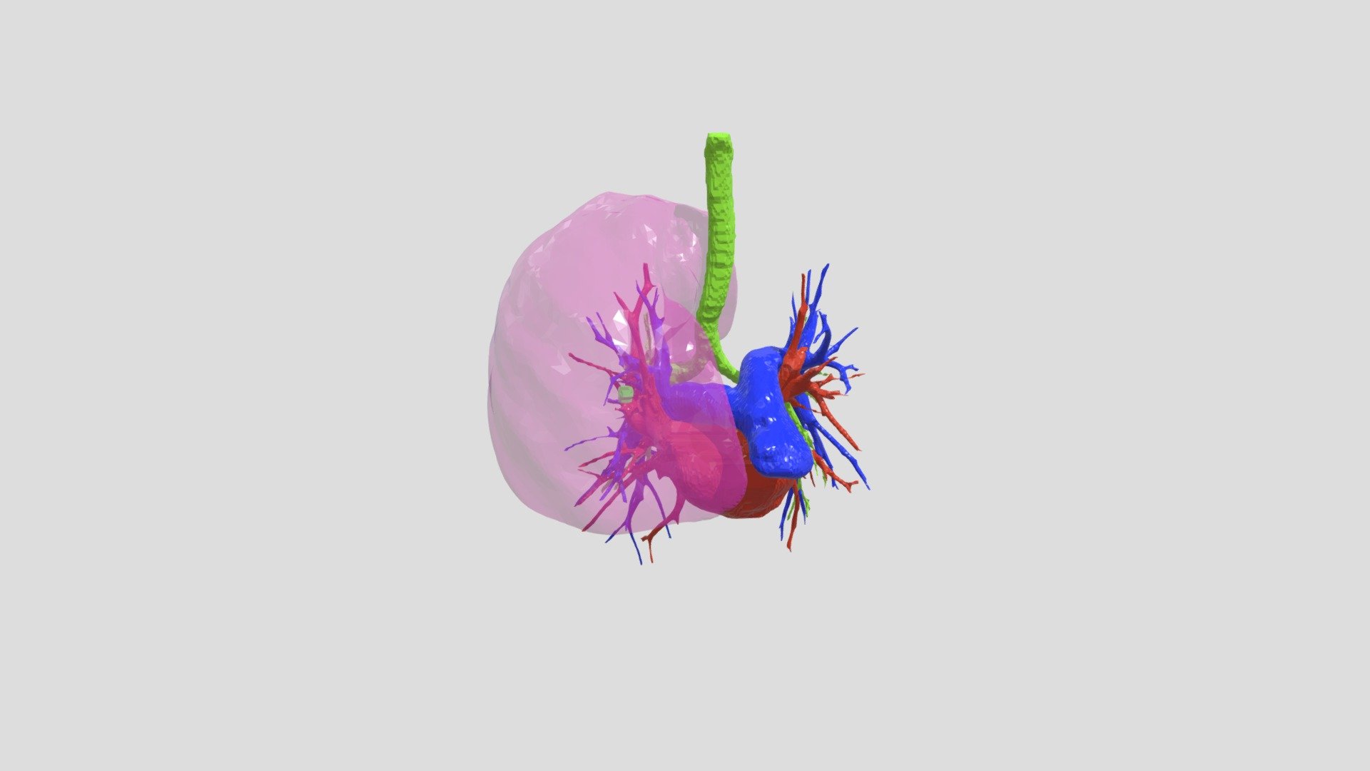 PCAL2022 - 3D model by Winston.Jaramillo [45176e6] - Sketchfab