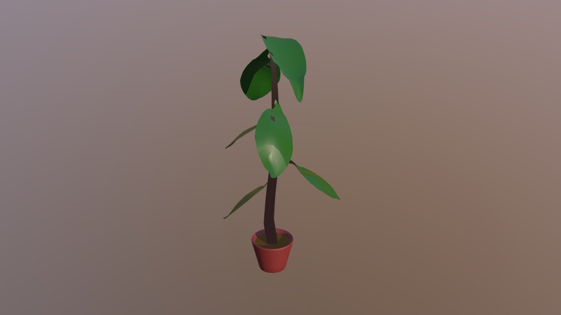 Rubber Tree Plant - 3D model by 3dRemark [4517a7e] - Sketchfab