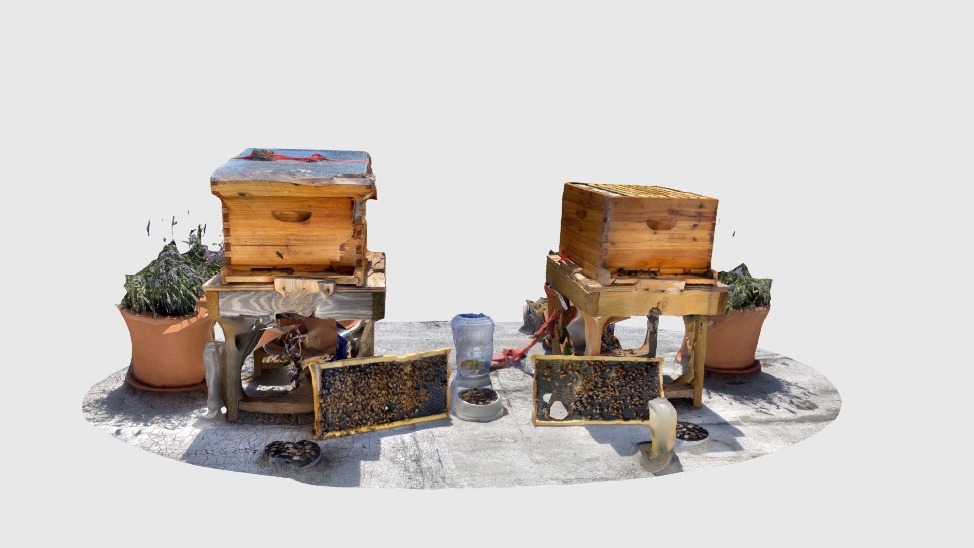 The bee hives - Download Free 3D model by AR Creations by Ian Sklarsky ...