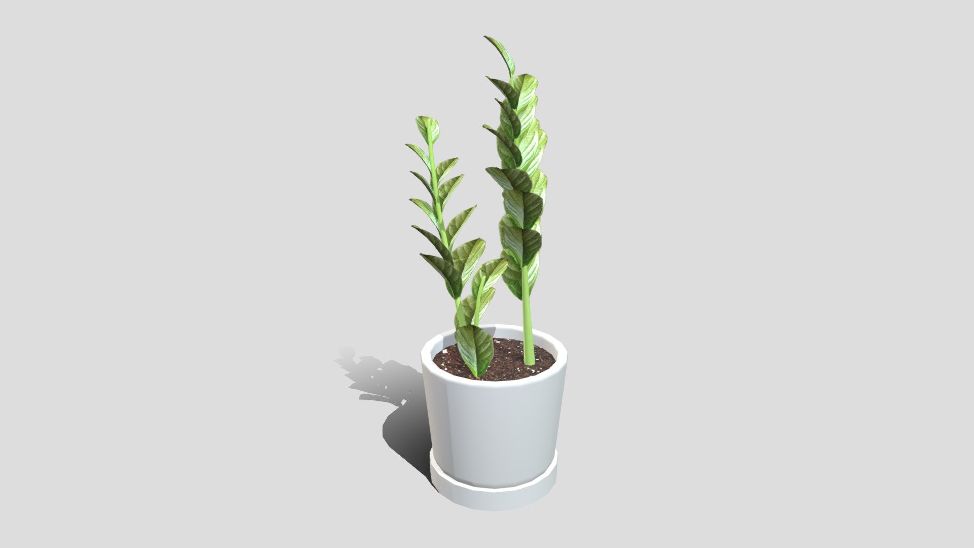 wk8_plant_epstein_aliyah - Download Free 3D model by peridot.8 [451c7de ...