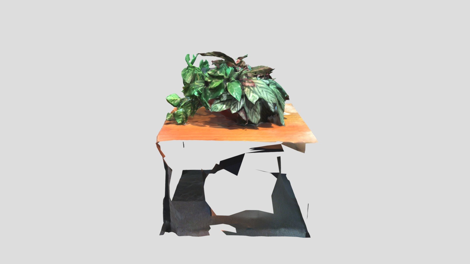 Potted Plant - 3D model by deeroni [451d7eb] - Sketchfab