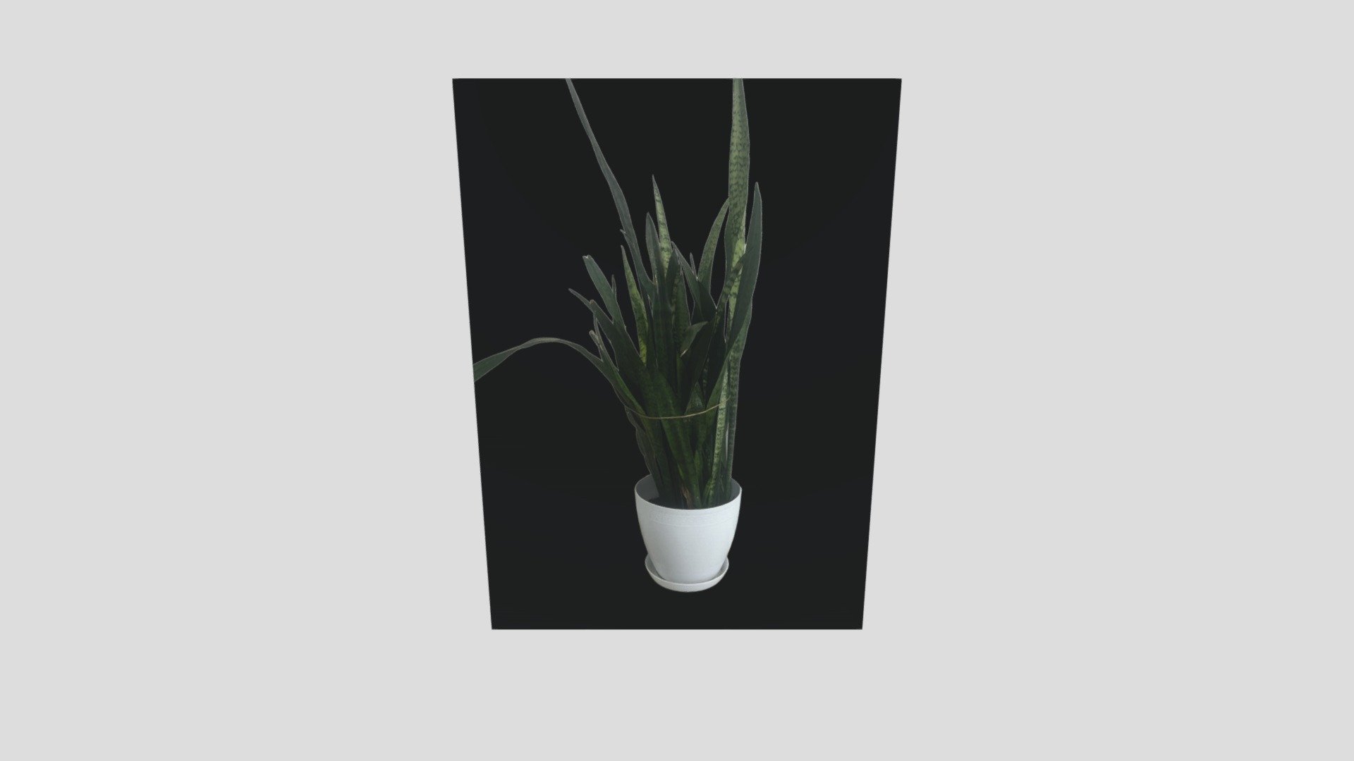 Green - Download Free 3D model by idgroupweb [45218d2] - Sketchfab