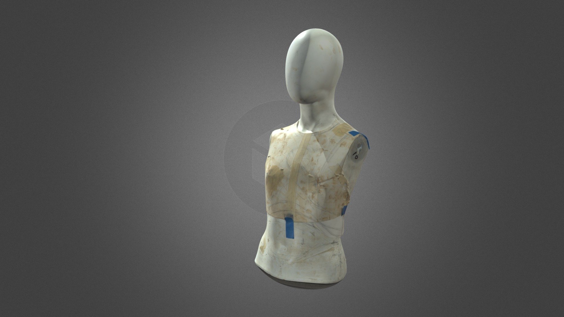 Mannequin Torso Scan 2 - Download Free 3D model by NOVA Instructional ...