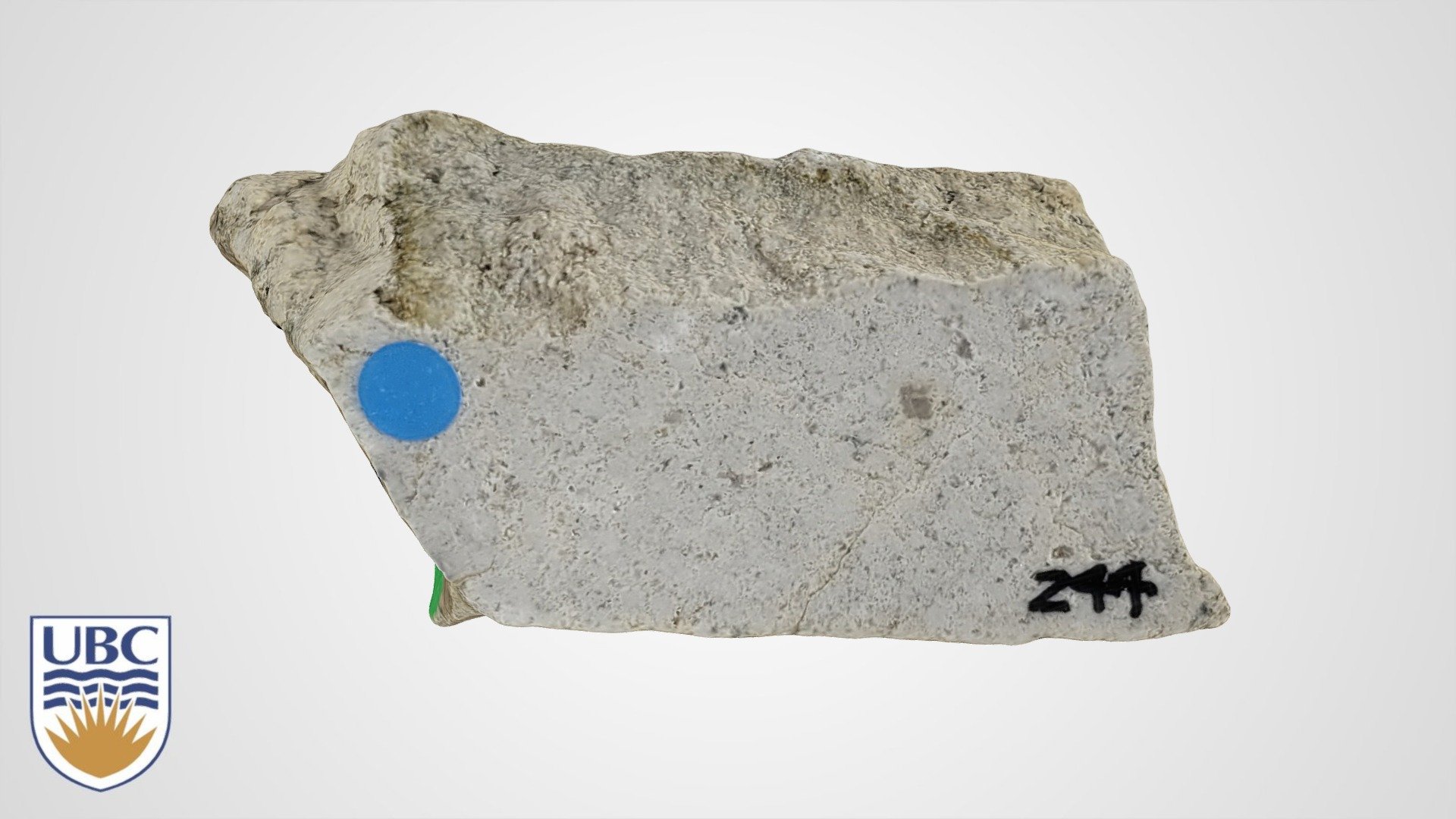 Skaergaard intrusion xenolith (SEB87-244) - 3D model by Nichole ...