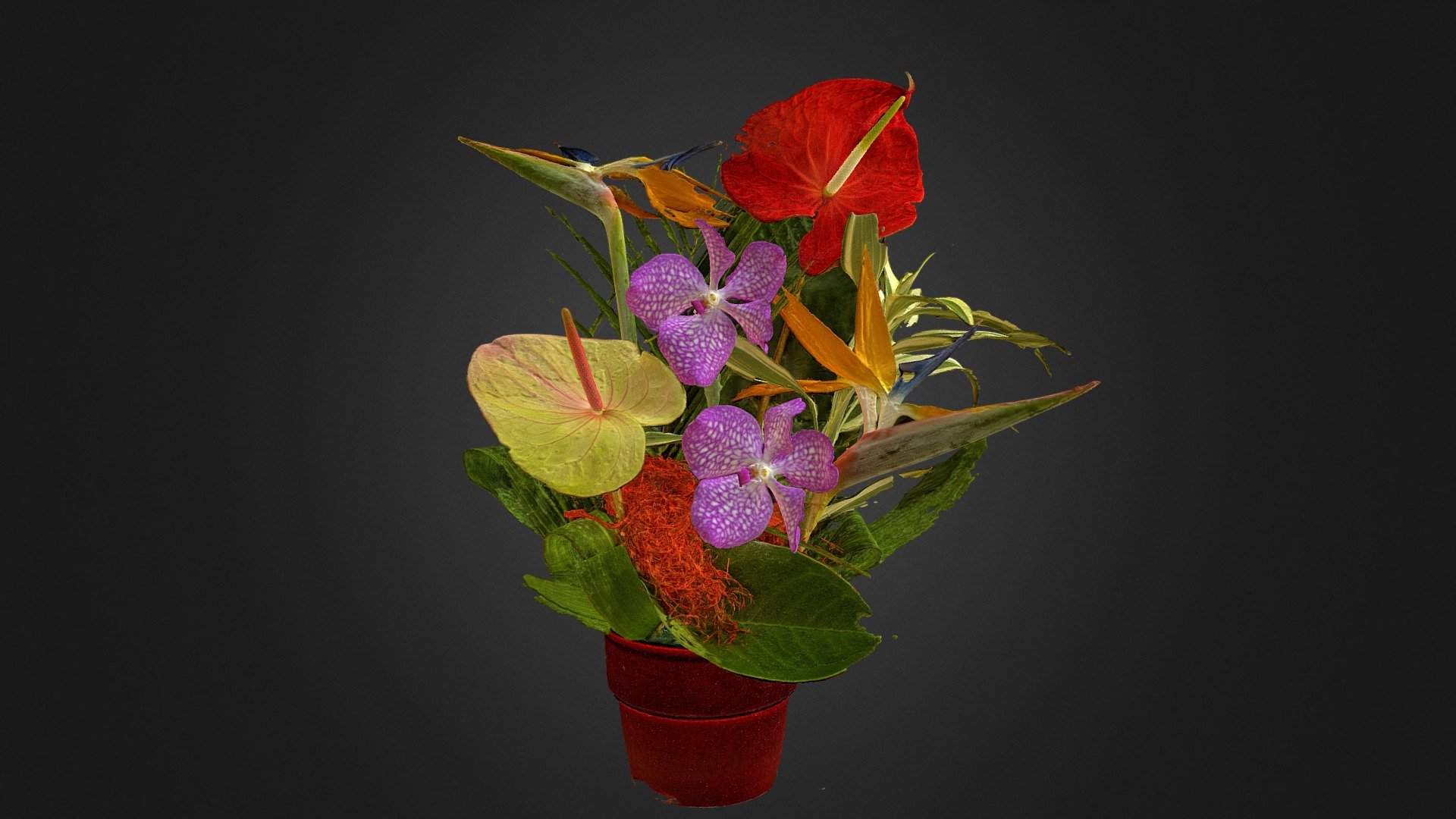 Bouquet de fleurs tropicales / new version (PBR) - Download Free 3D ...
