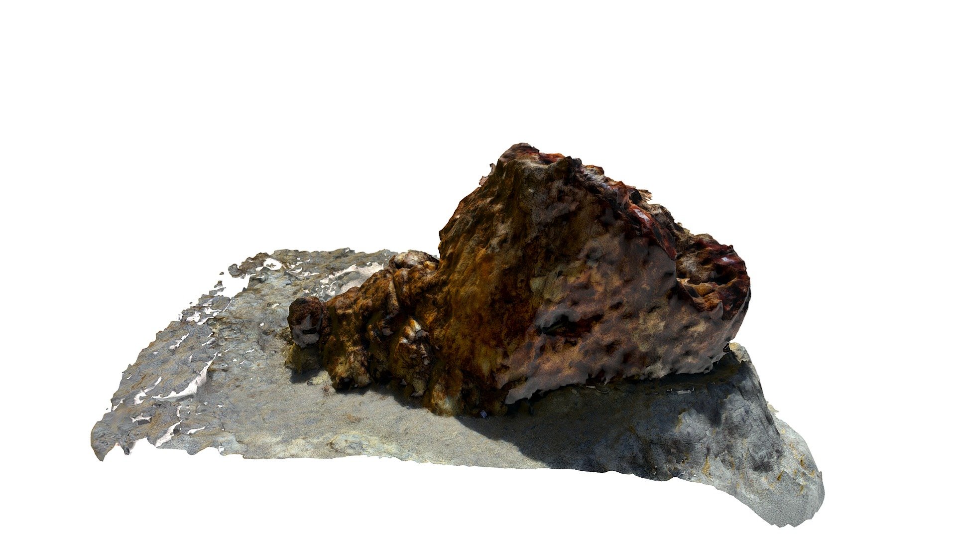 petrified_tree - 3D model by amichalou [453884d] - Sketchfab