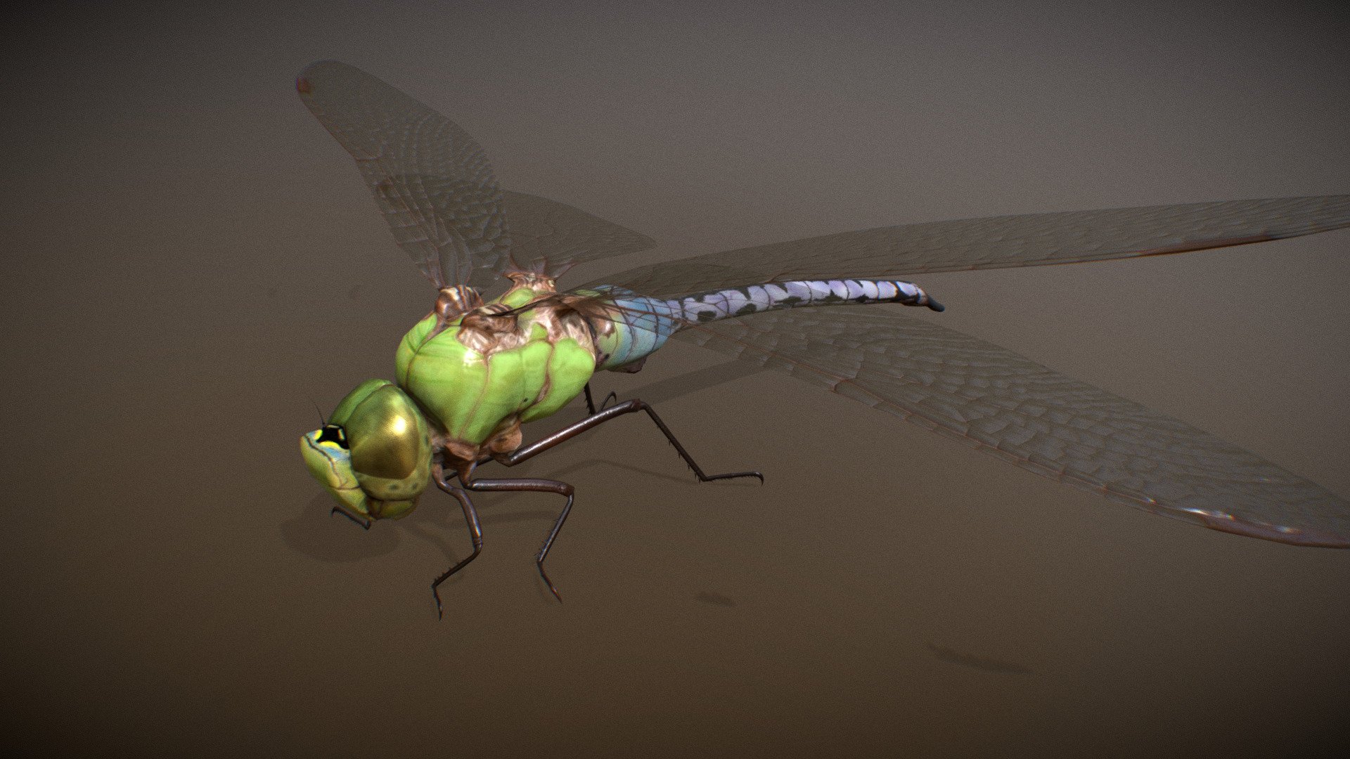 Animalia - Green Darner Dragonfly - 3D model by GiM (@GamesInMotion ...