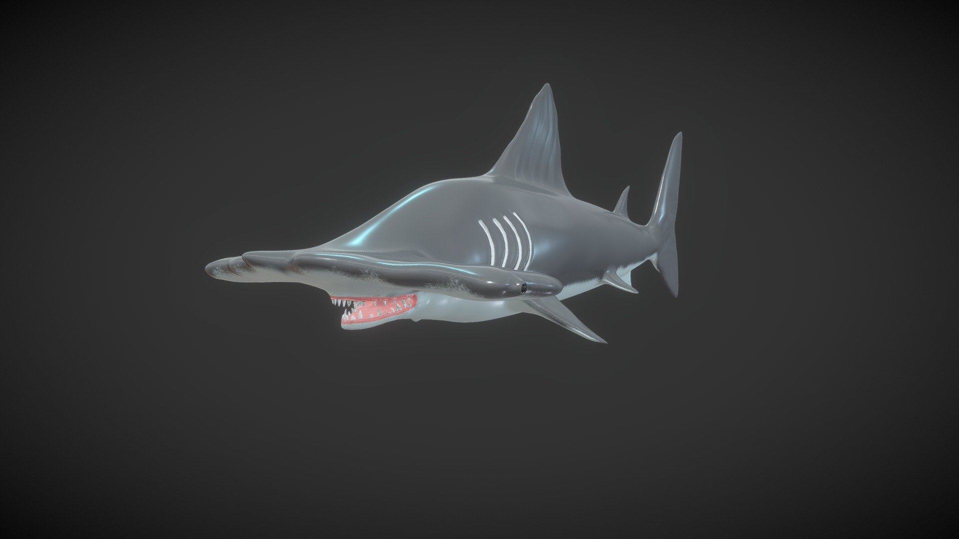 Hammerhead Shark Sketchfab