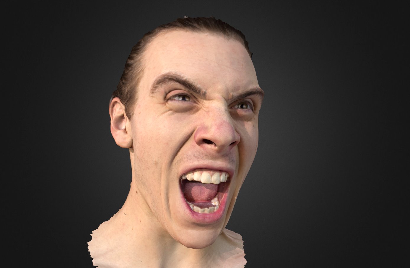 Jeremias Rage - 3D model by Anatomy Next (@a4s) [4546719] - Sketchfab