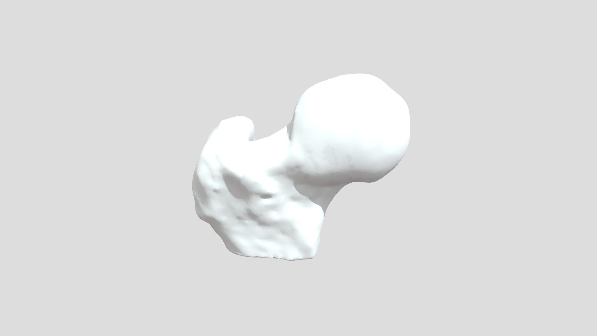 Femur - 3D model by antonyleons [4547323] - Sketchfab