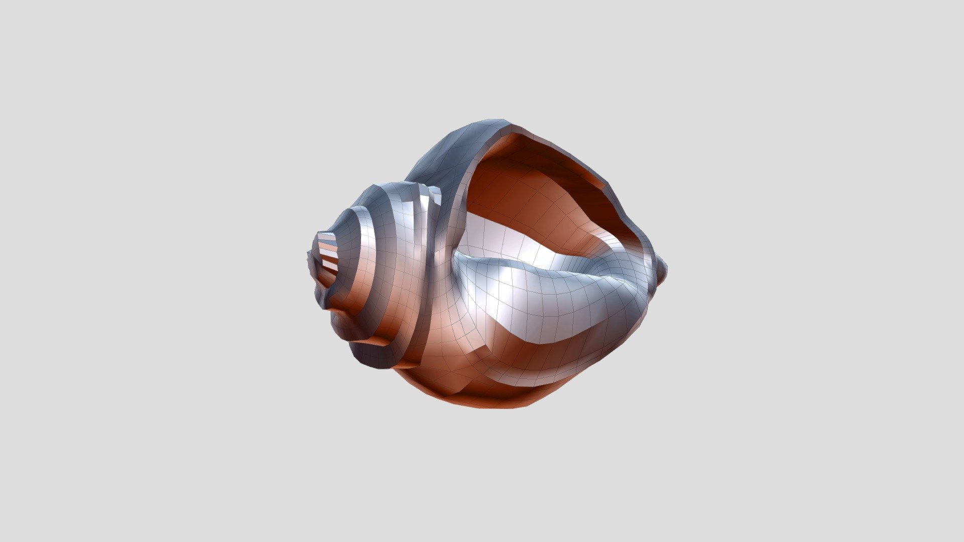 shell - Download Free 3D model by hellotaia [454e9ab] - Sketchfab