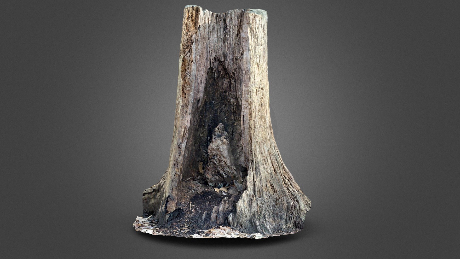 Tree Stump - Download Free 3D model by Terrie Simmons-Ehrhardt ...