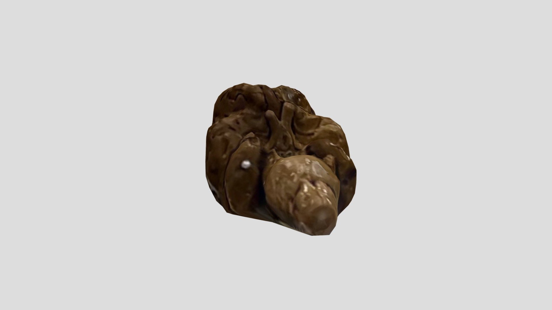 Brain steam - Download Free 3D model by MetaHelv [455c15c] - Sketchfab