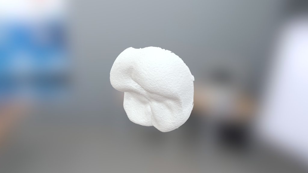 Real Tooth Scan - Download Free 3D model by LMI Technologies (@LMI ...