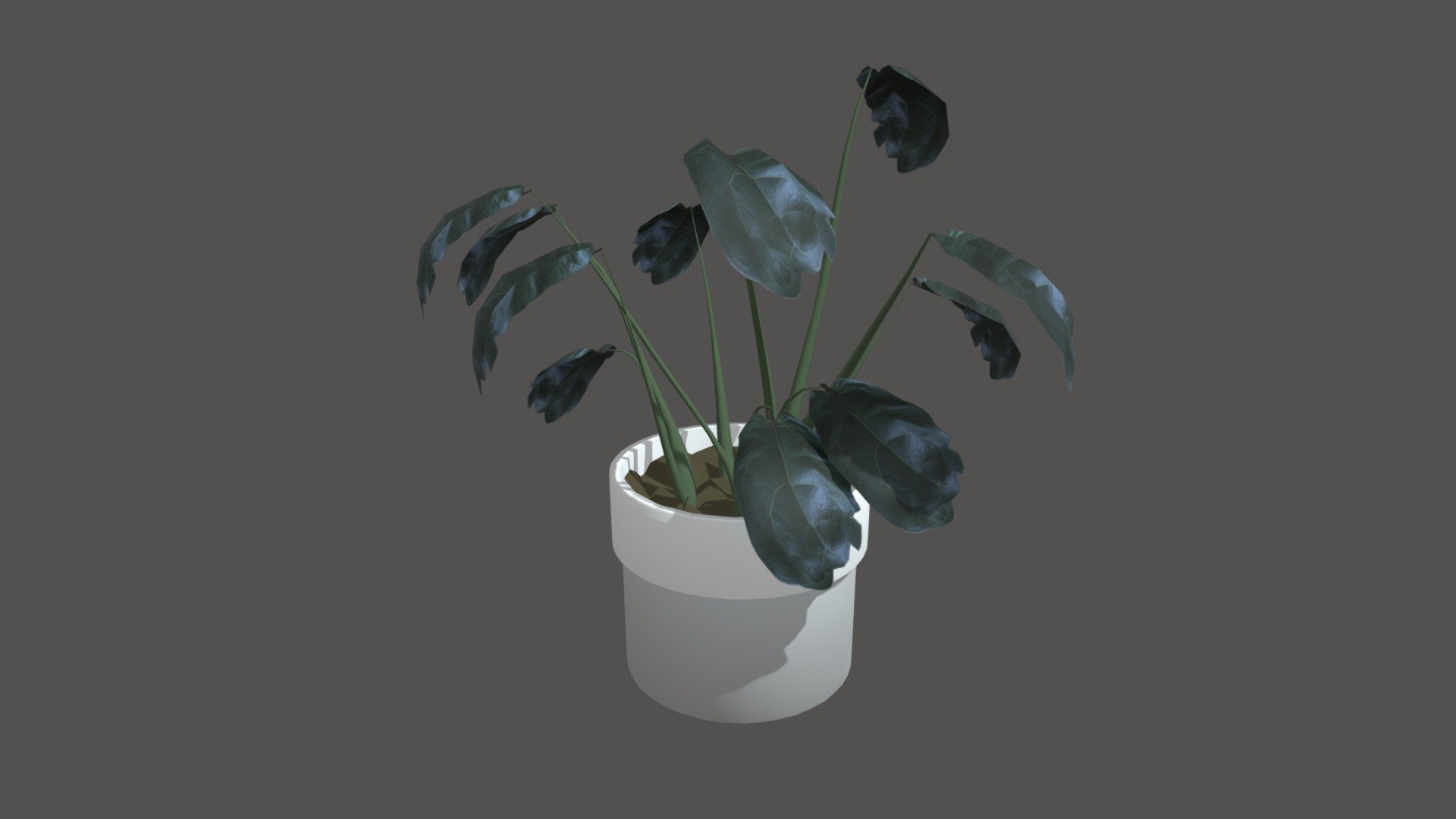 plant - Download Free 3D model by rithuj [456c299] - Sketchfab