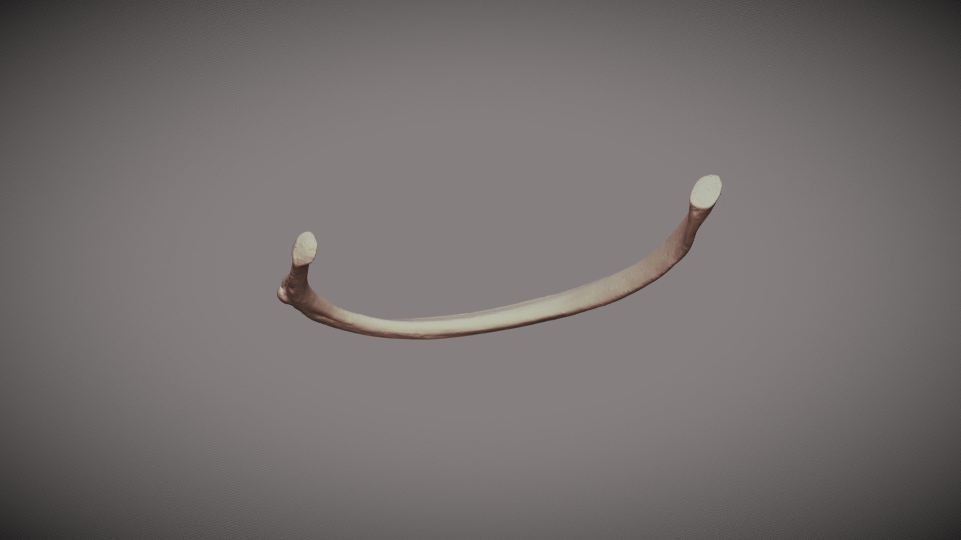 Individual Rib Example - 3D model by OrJames Labs (@orjameslabs ...