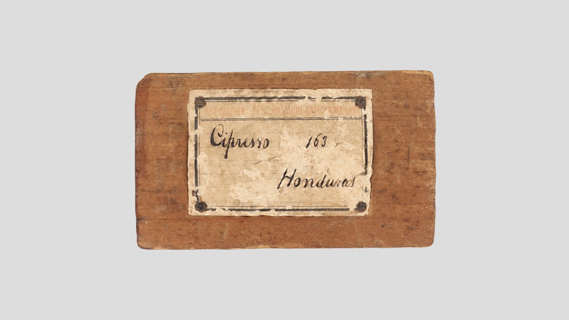 Wood Collection, Xylarium sample #9 - 3D model by SMA-UniGe [4583326 ...