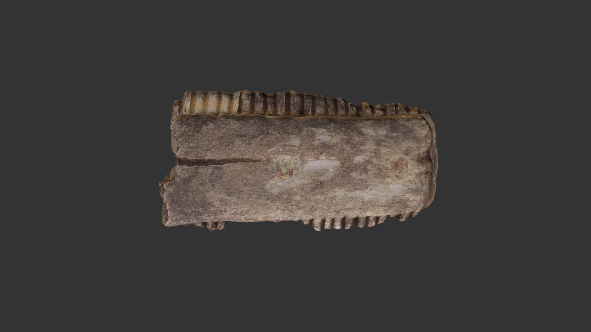 Bone Comb - 3D model by Northern Heritage Network (@cineg) [458468d ...