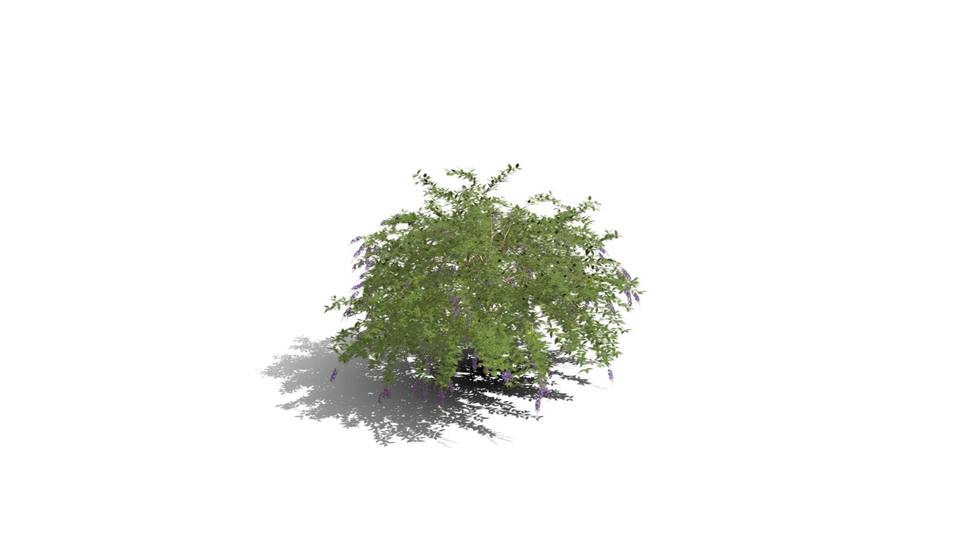 Realistic HD Golden dewberry (4/20) - Buy Royalty Free 3D model by ...