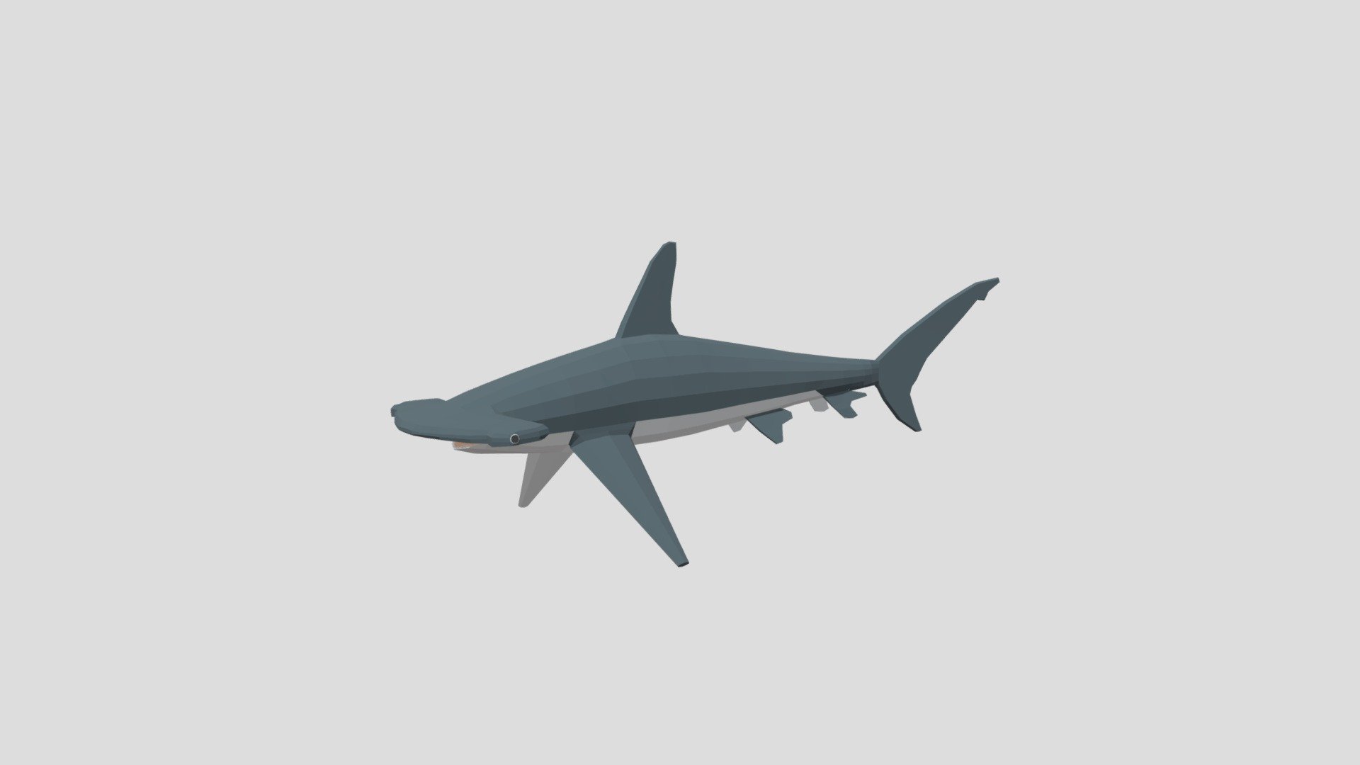 Low Poly Cartoon Animated Hammerhead Shark - Buy Royalty Free 3D model ...