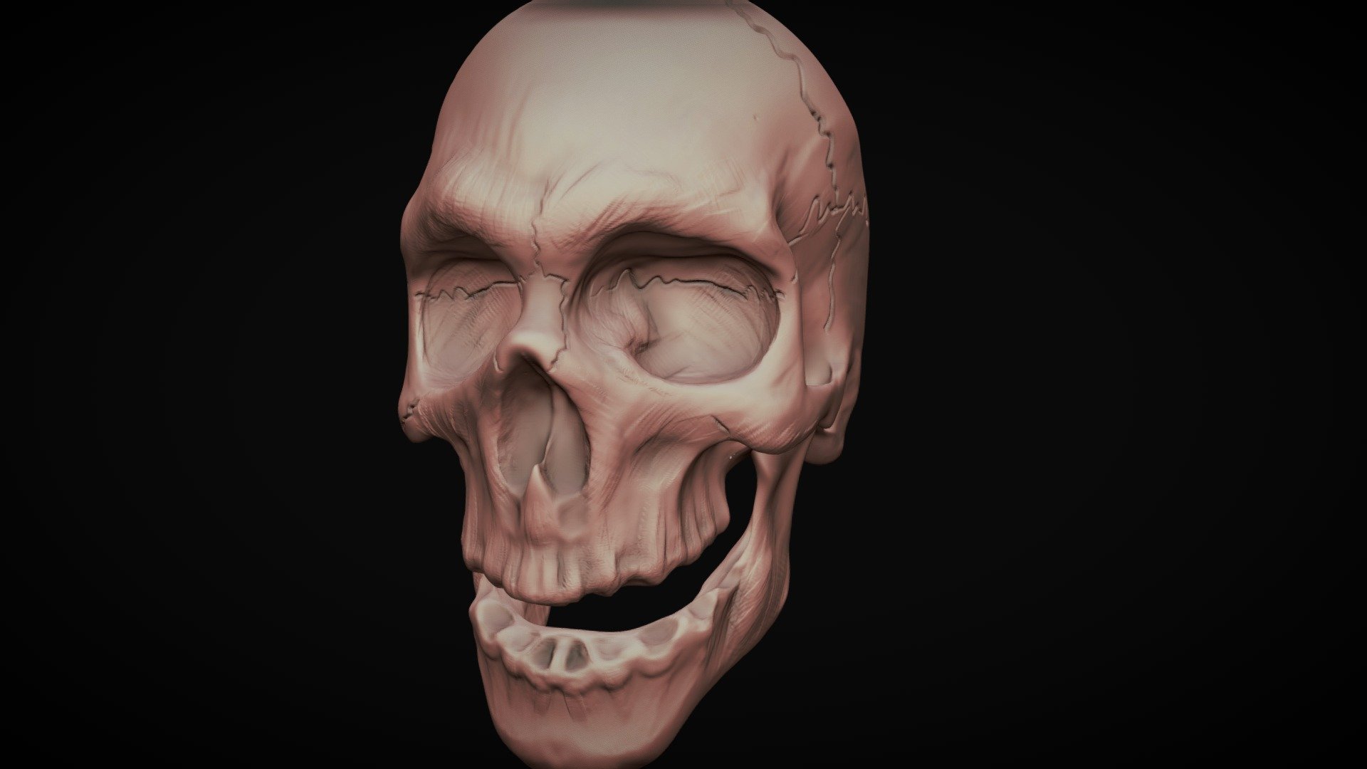 Skull - Download Free 3D model by minhdoan [459b924] - Sketchfab