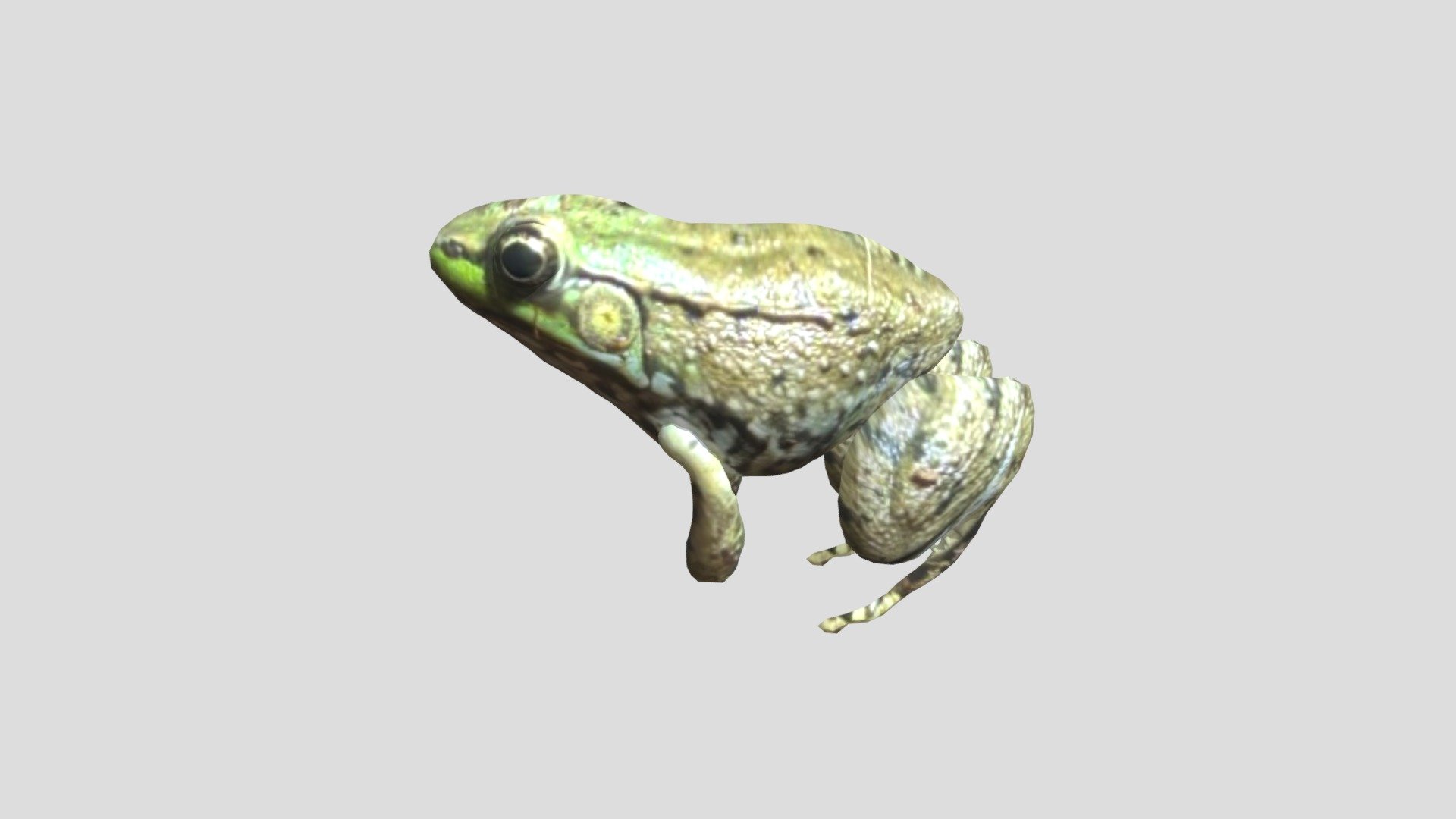 model_334655844160 - 3D model by Animal Maker (@ShinGoji729) [45a2e7c ...