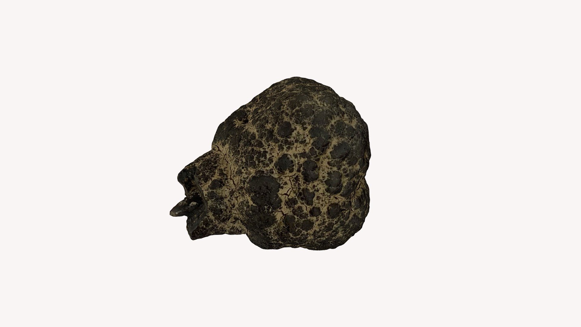 Manganese / Polymetallic Nodule - 3D model by SOSA - Senckenberg Ocean ...