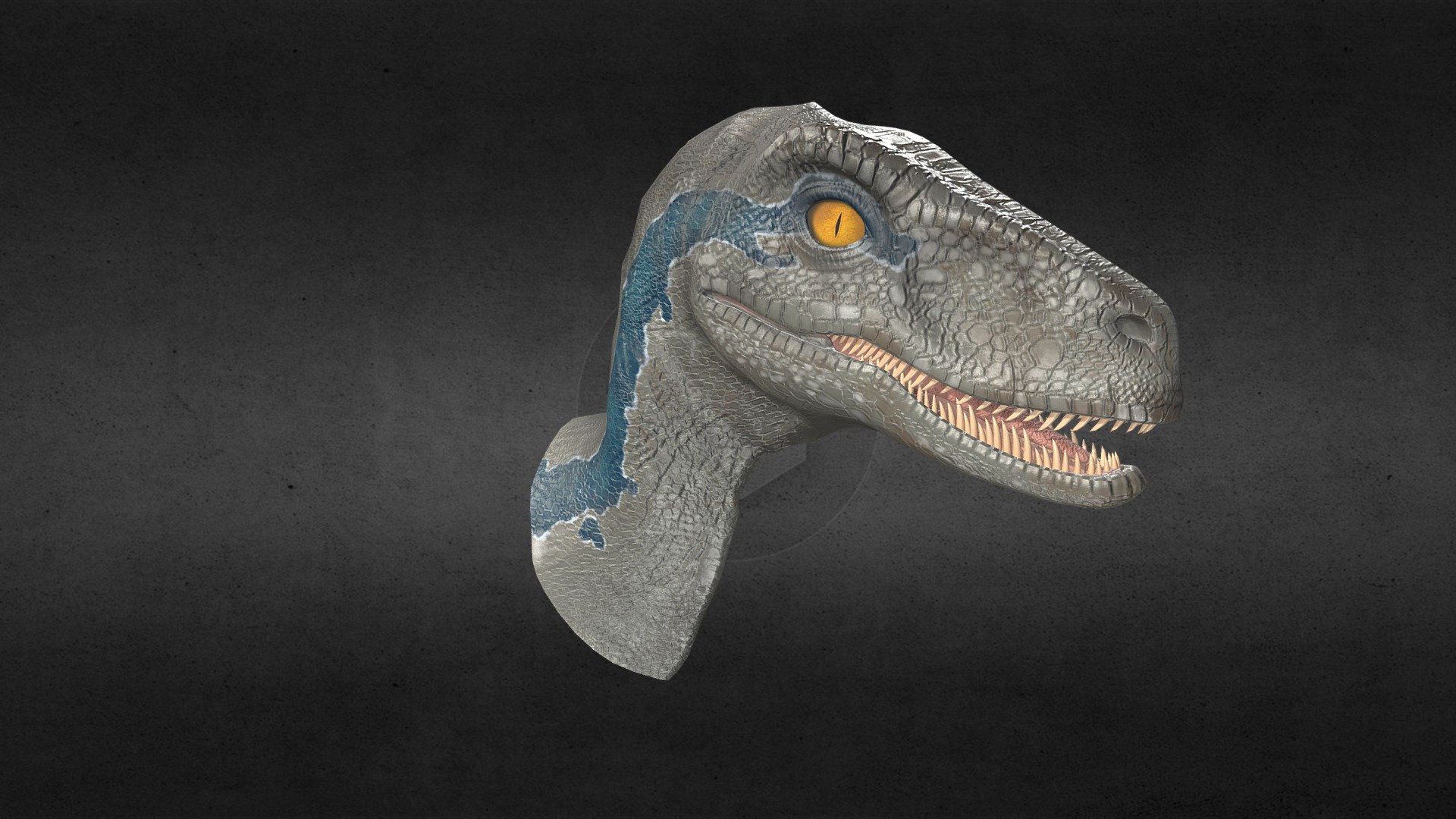 RAPTOR - Download Free 3D model by davidwh [45cc061] - Sketchfab