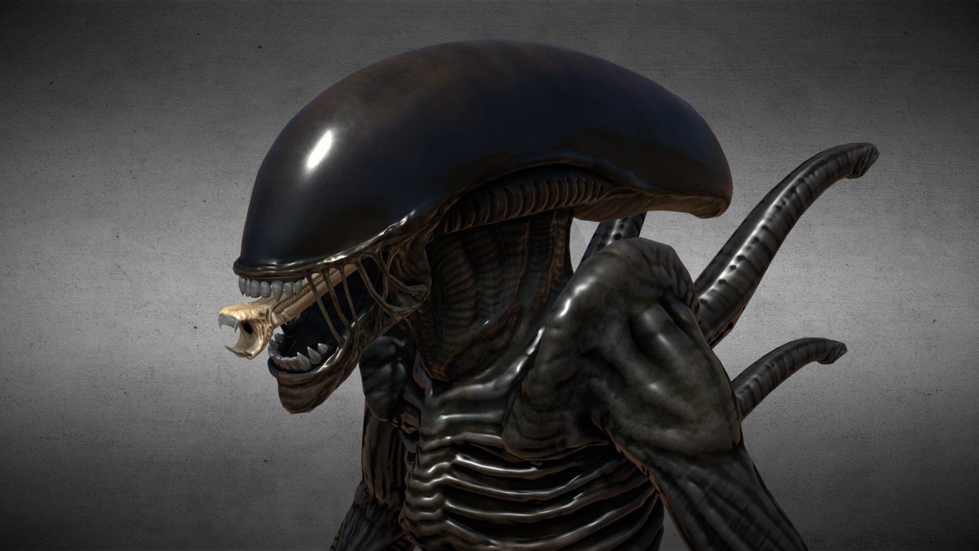 Alien vs Predator 2004 - Alien Drone Model - Download Free 3D model by ...