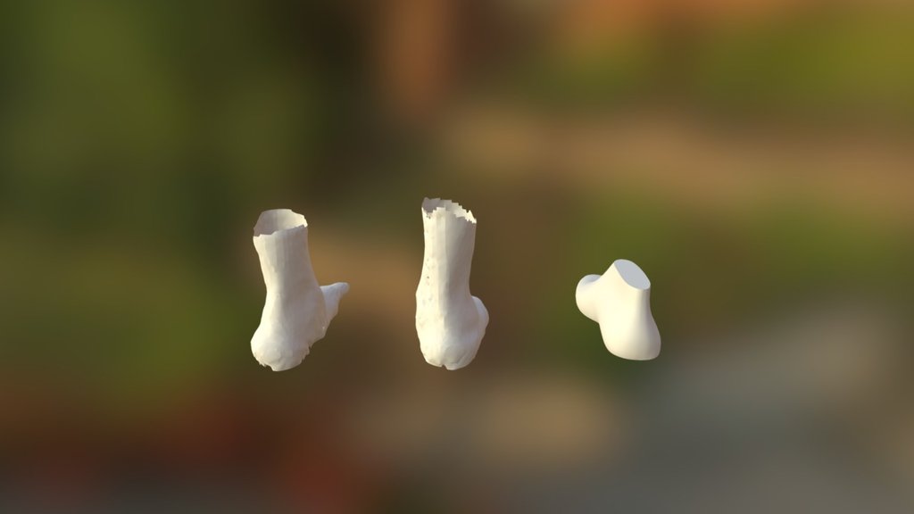 Taleb Comp - Download Free 3D model by saint-jean [45d4da5] - Sketchfab