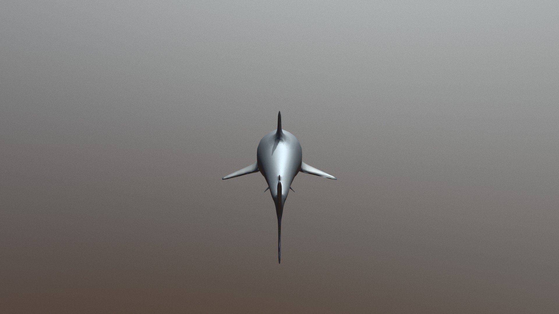 Shark Mesh Test 1 - 3D model by Fis [45d5a18] - Sketchfab