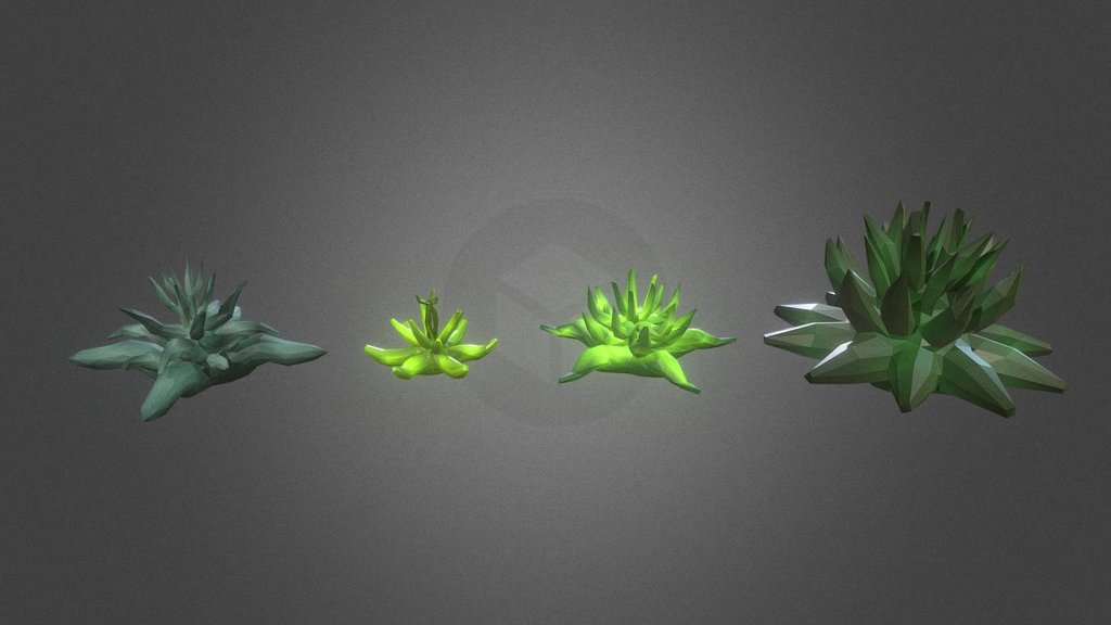 Aloe Variations - Download Free 3D model by Anatomy by Doctor Jana ...