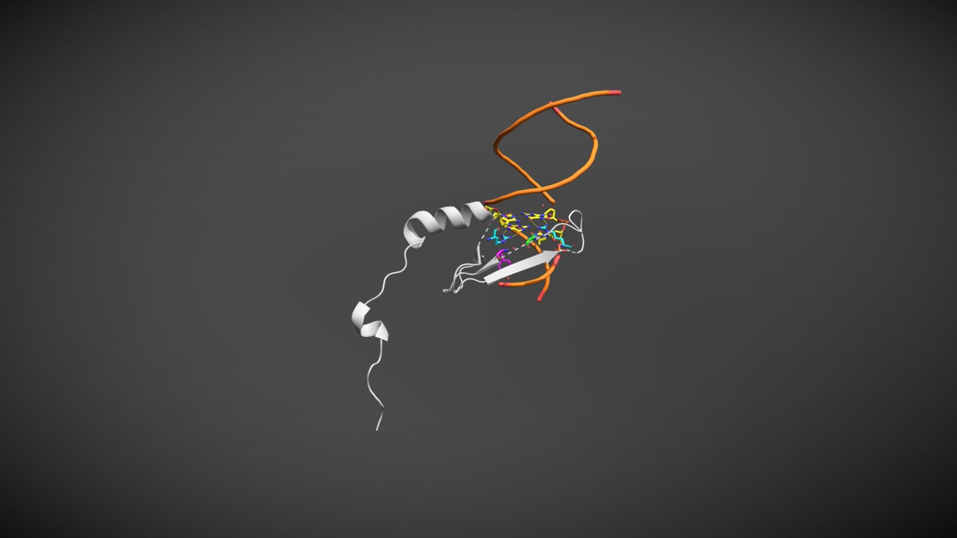 3VXX: Methyl-CpG Binding Domain Protein 4 (MBD4) - 3D model by ...