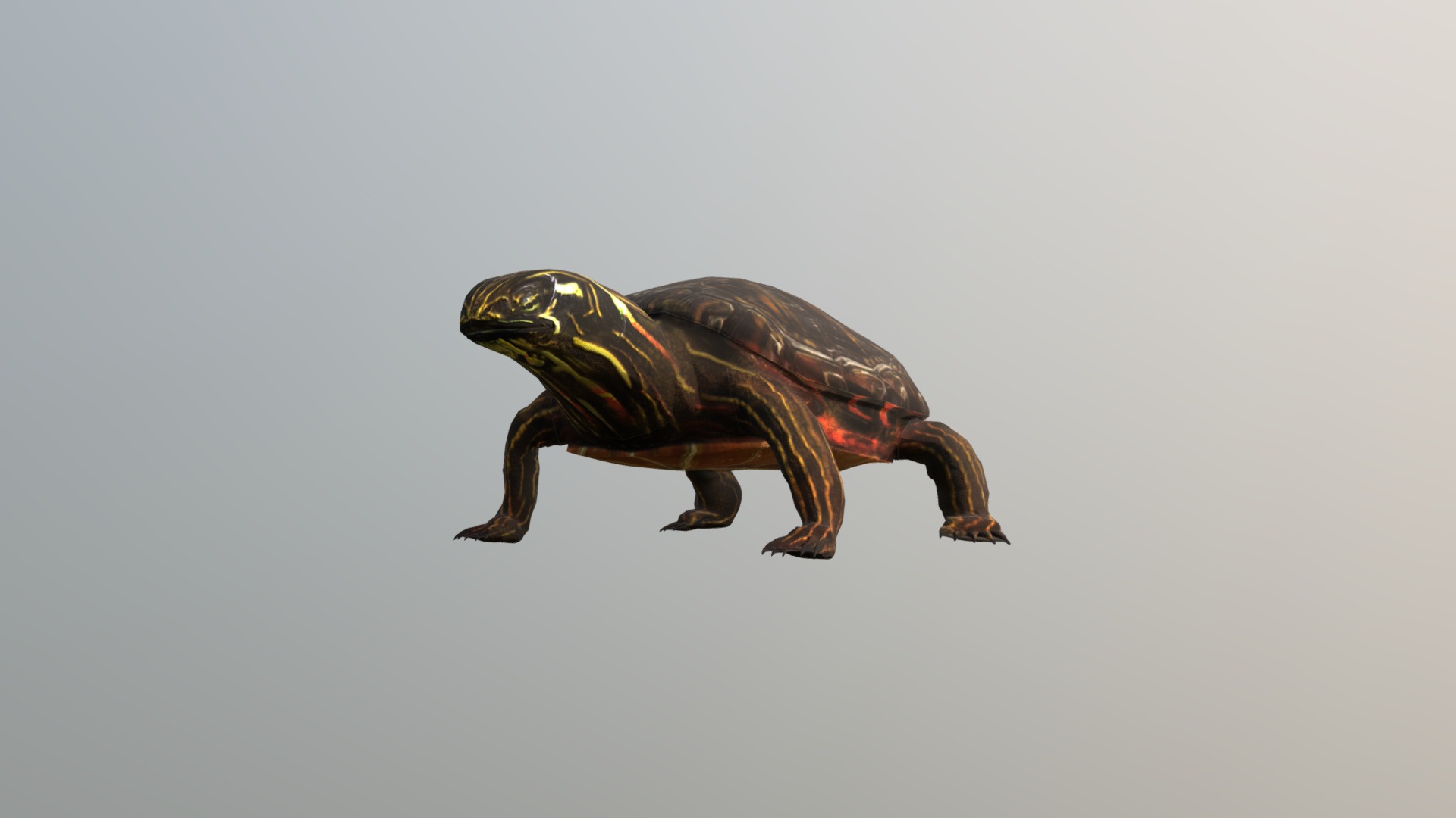 Oriental Painted Turtle - Buy Royalty Free 3D model by 3dlowpoly ...